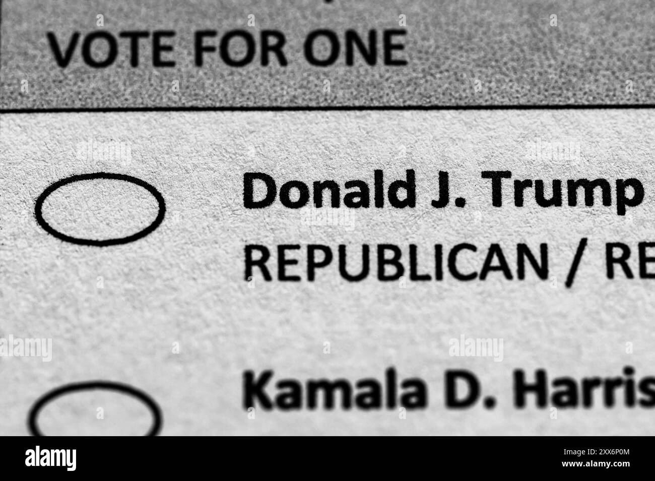 2024 us general election Black and White Stock Photos & Images - Alamy