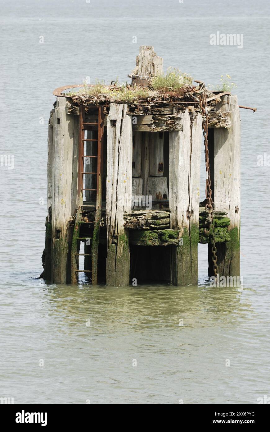 Old dolphin hi-res stock photography and images - Alamy