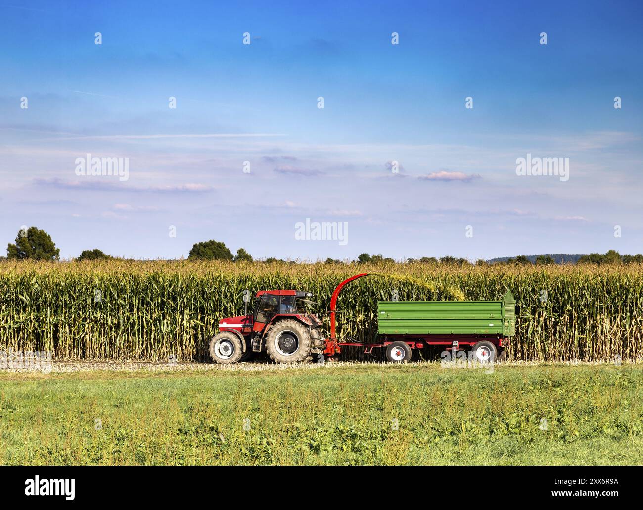 Harvest of maize zea mays tractor hi-res stock photography and images ...