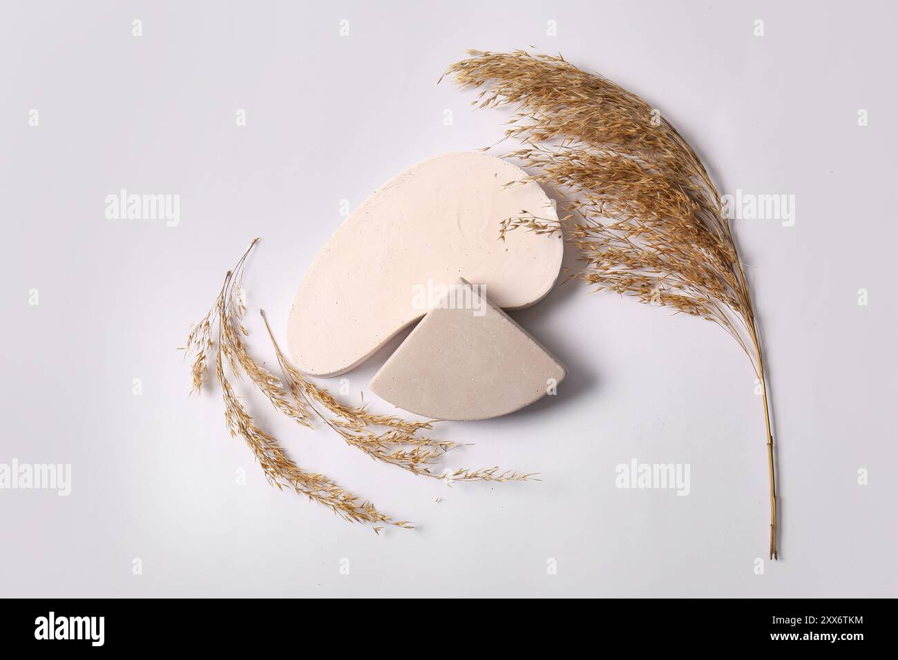 Composition with plaster podiums and dry reeds on white background ...