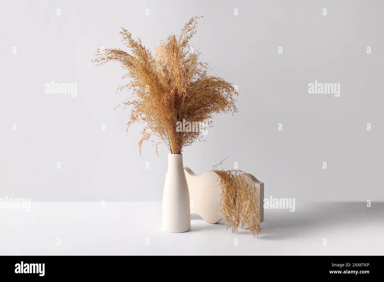 Vase with dry reeds and plaster decor on white background Stock Photo ...