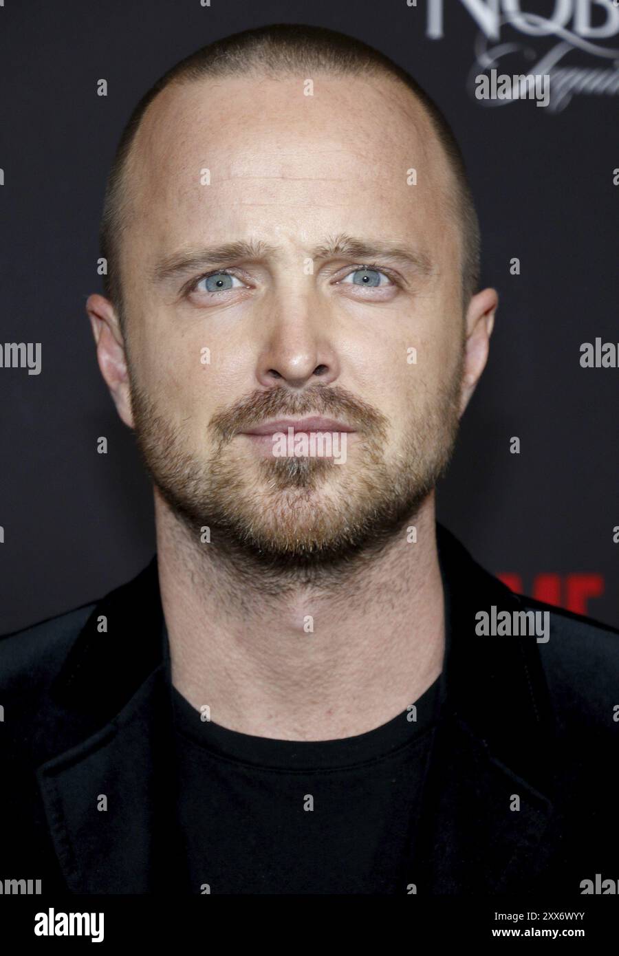 Aaron Paul at the Los Angeles premiere of 'Welcome Home' held at the ...