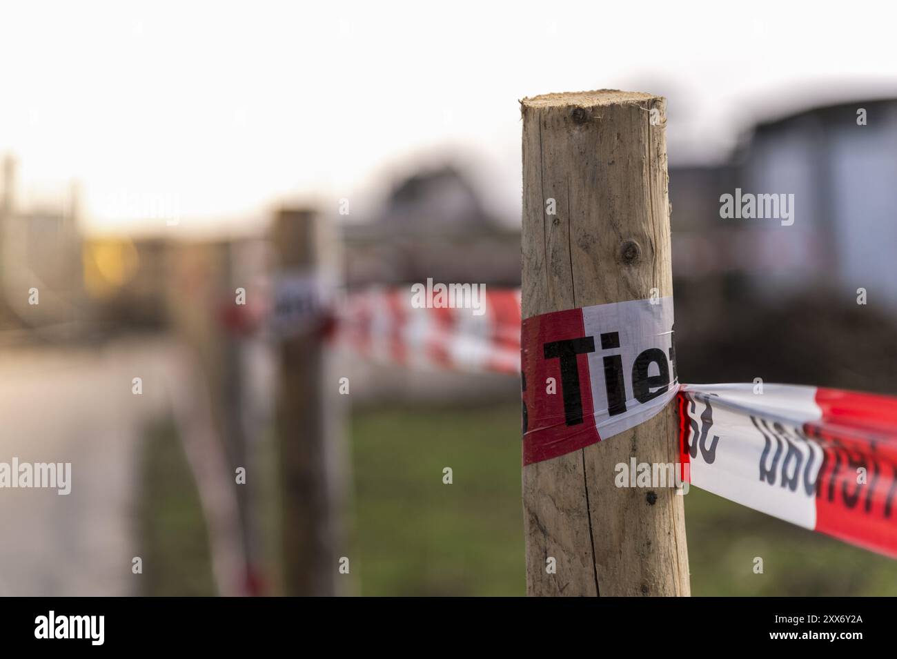 Wooden posts and barrier tape at a construction site Stock Photo - Alamy