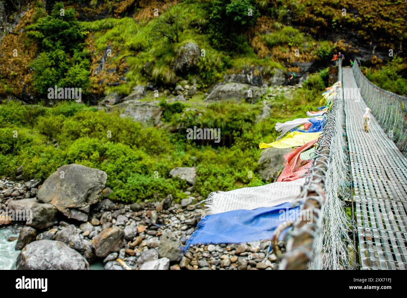 Suspension Bridge Adorned with Prayer Flags on the Annapurna Trek Stock ...