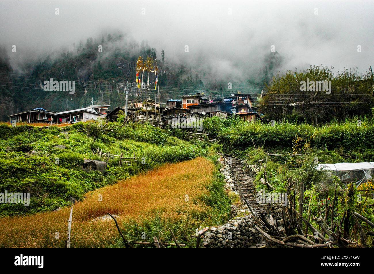 This atmospheric image captures a mist-shrouded village along the ...