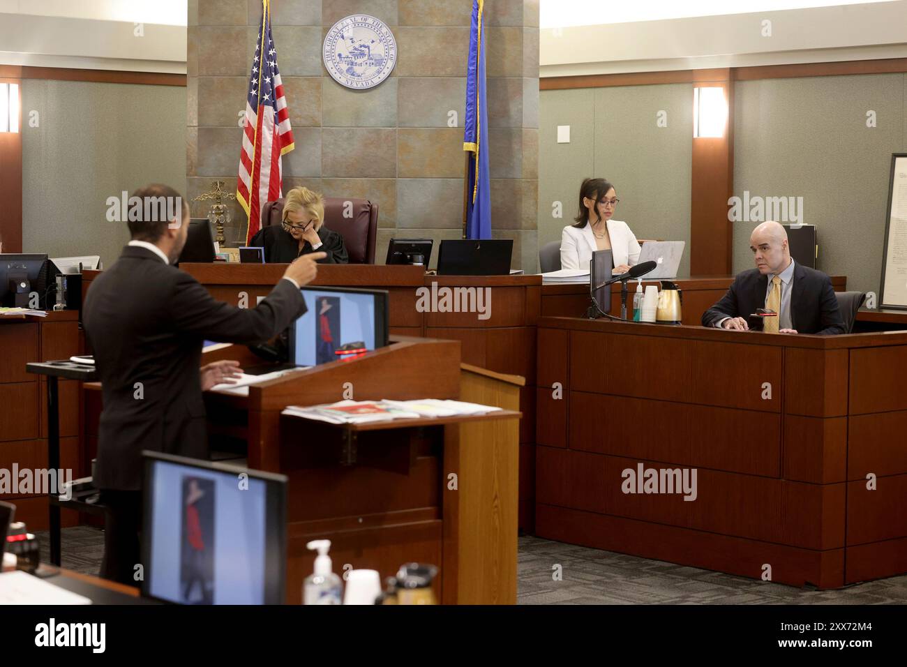 Chief Deputy District Attorney Christopher Hamner questions Robert ...