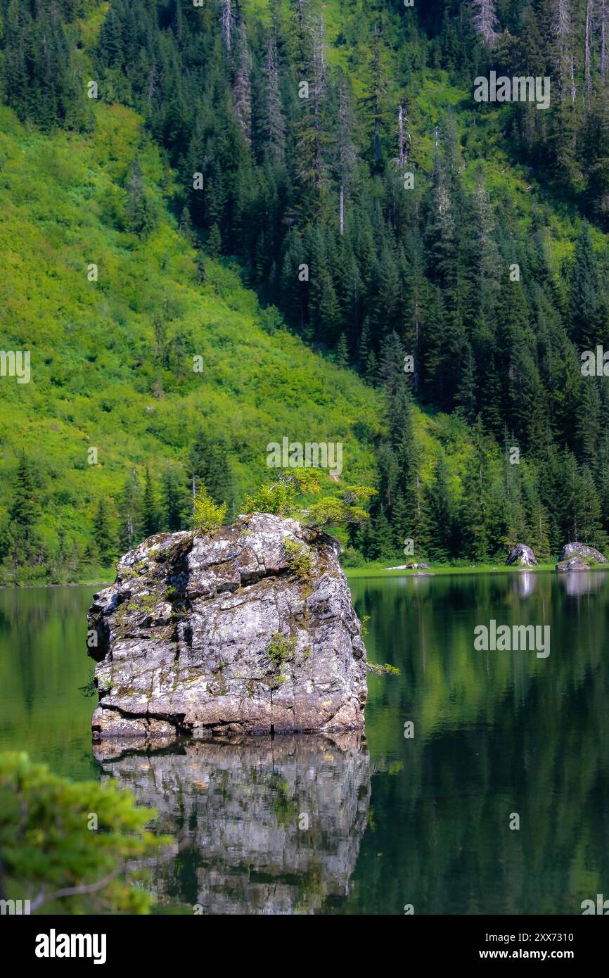 Heather washington hi-res stock photography and images - Alamy