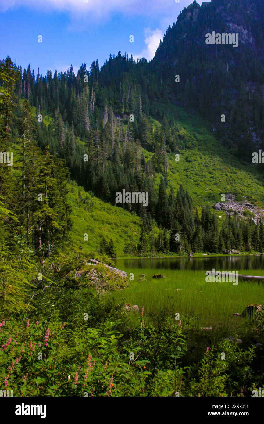 Heather Lake, in Washington State Stock Photo - Alamy