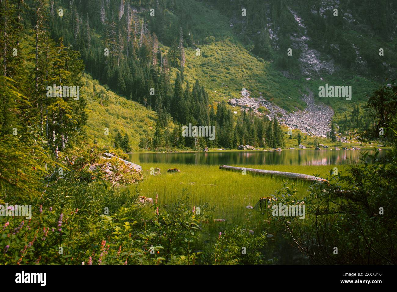 Heather lake hi-res stock photography and images - Alamy
