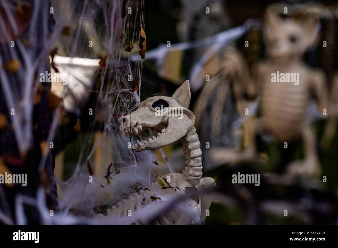 Skeleton dog Halloween decorations. Halloween skeleton for decorated ...