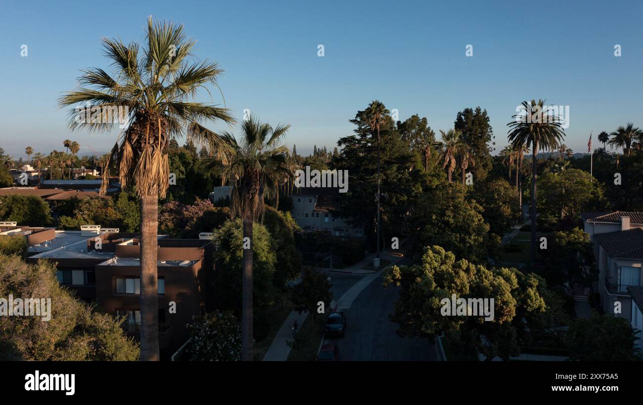 Palm tree framed view of a historic neighborhood in downtown Pasadena ...