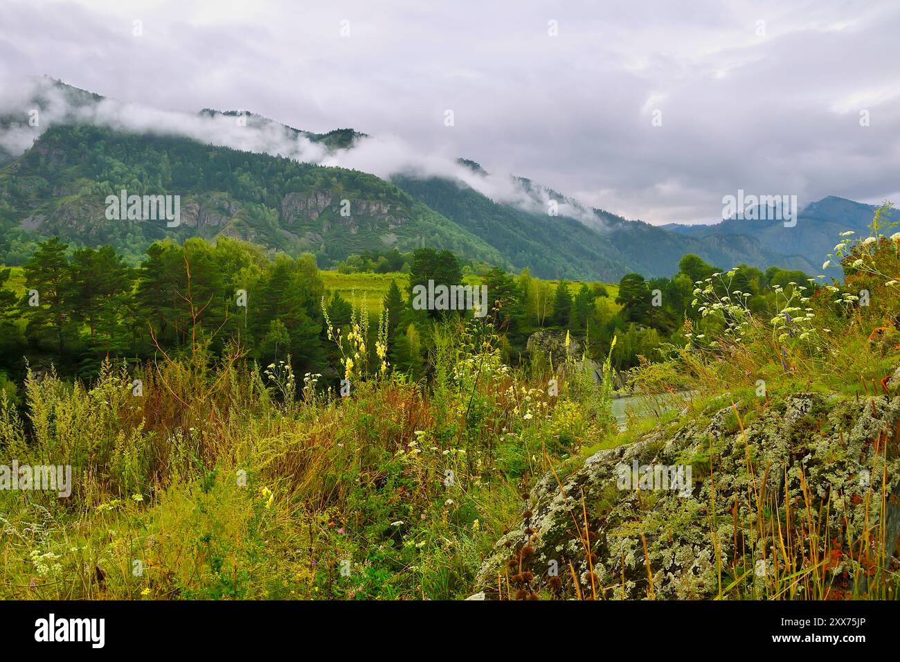 Cloudy mood over mountain hi-res stock photography and images - Alamy