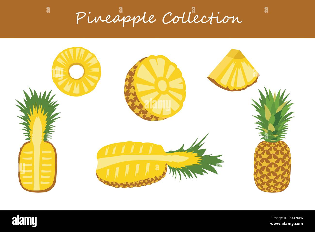 Ananas comosus plant illustration hi-res stock photography and images ...