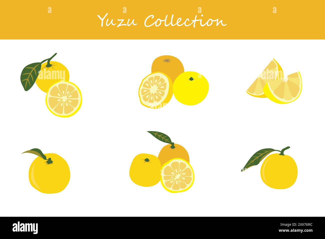 yuzu collection in different poses. Vector illustration Stock Vector ...