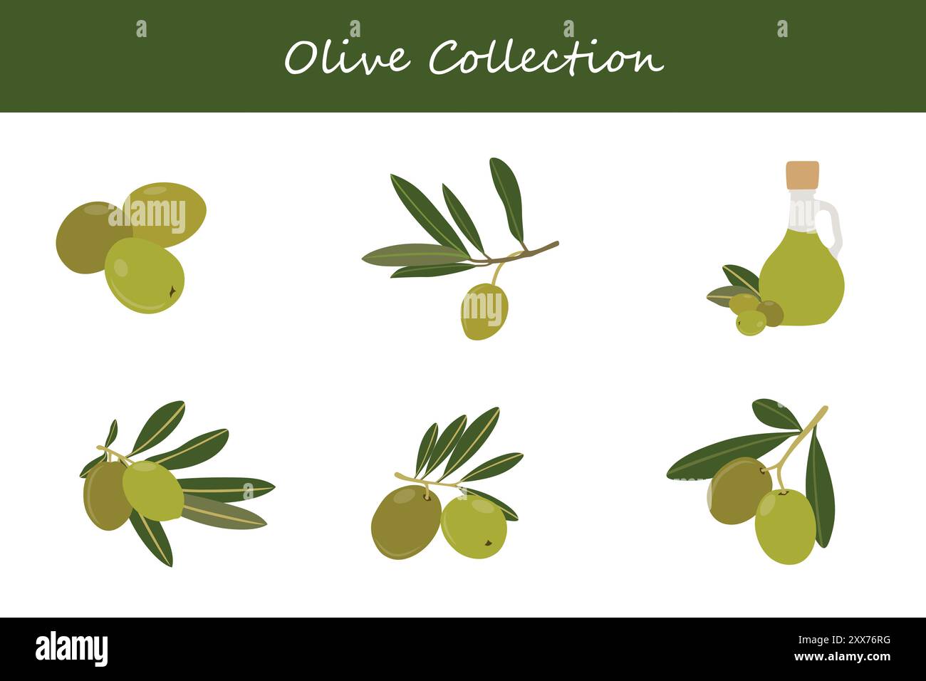 olive collection in different poses. Vector illustration Stock Vector ...