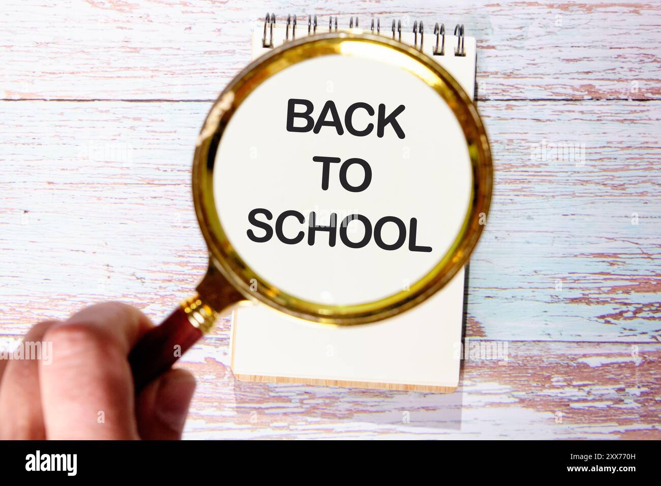 For backgrounds and presentations. The words Back to School on a blank ...