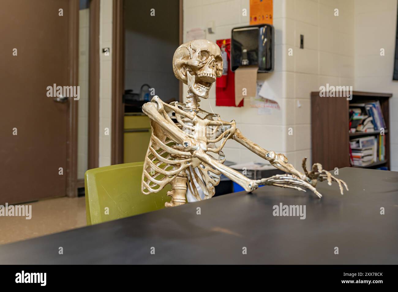 Skeleton sitting chair hi-res stock photography and images - Alamy