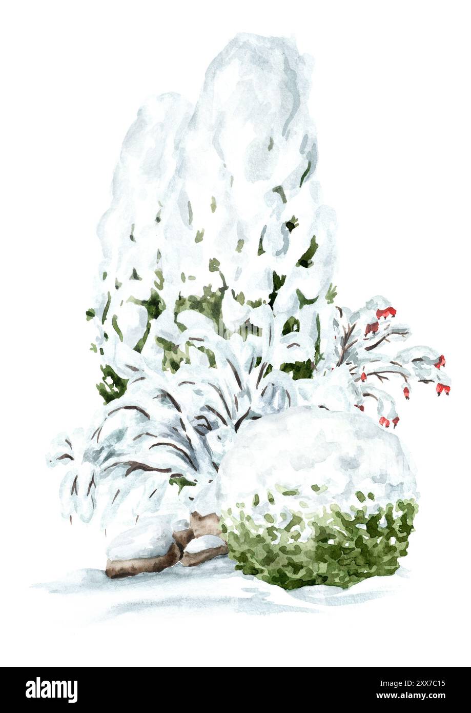 Trees under the snow in the winter park, Hand drawn watercolor ...