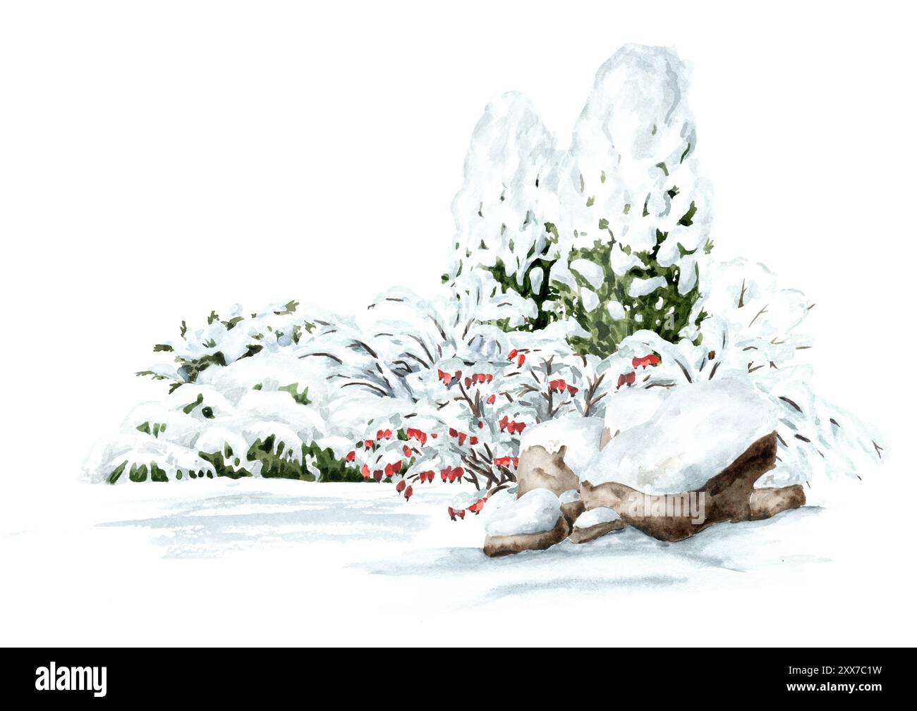 Trees under the snow in the winter park. Hand drawn watercolor ...