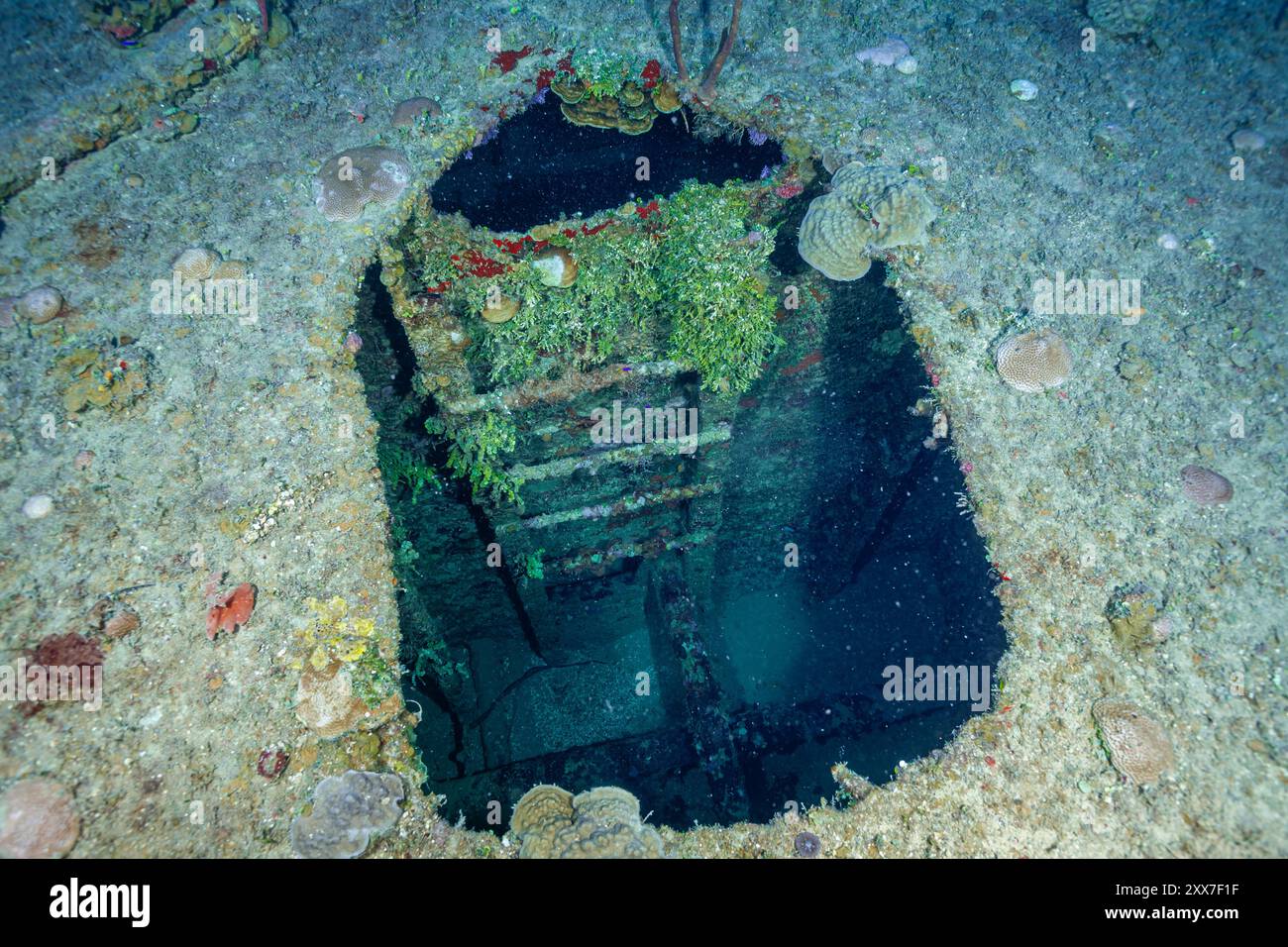 Honduras, Utila, Halliburton Wreck Stock Photo - Alamy