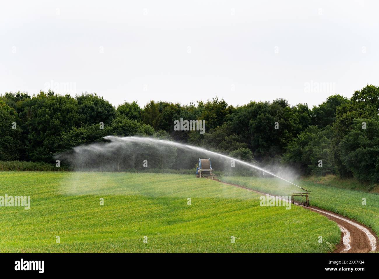 Self propelled irrigation Ramsholt Suffolk UK Stock Photo - Alamy