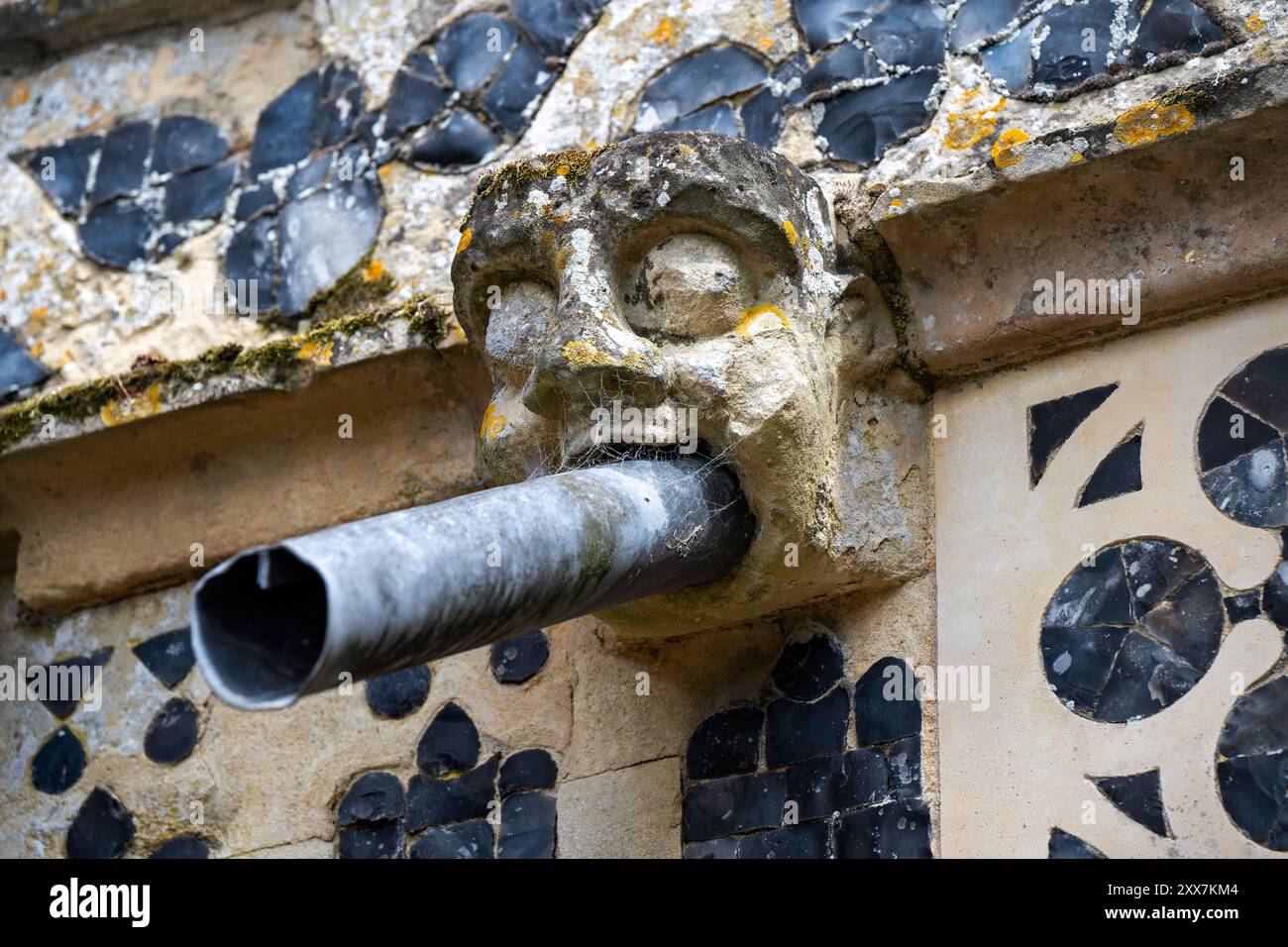 Gutter down pipe Stock Photo - Alamy
