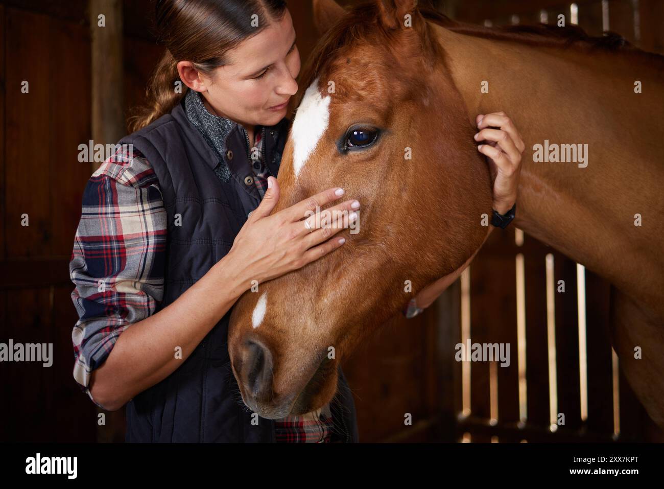 Barn, hug and woman with horse, petting and routine of care for animal ...