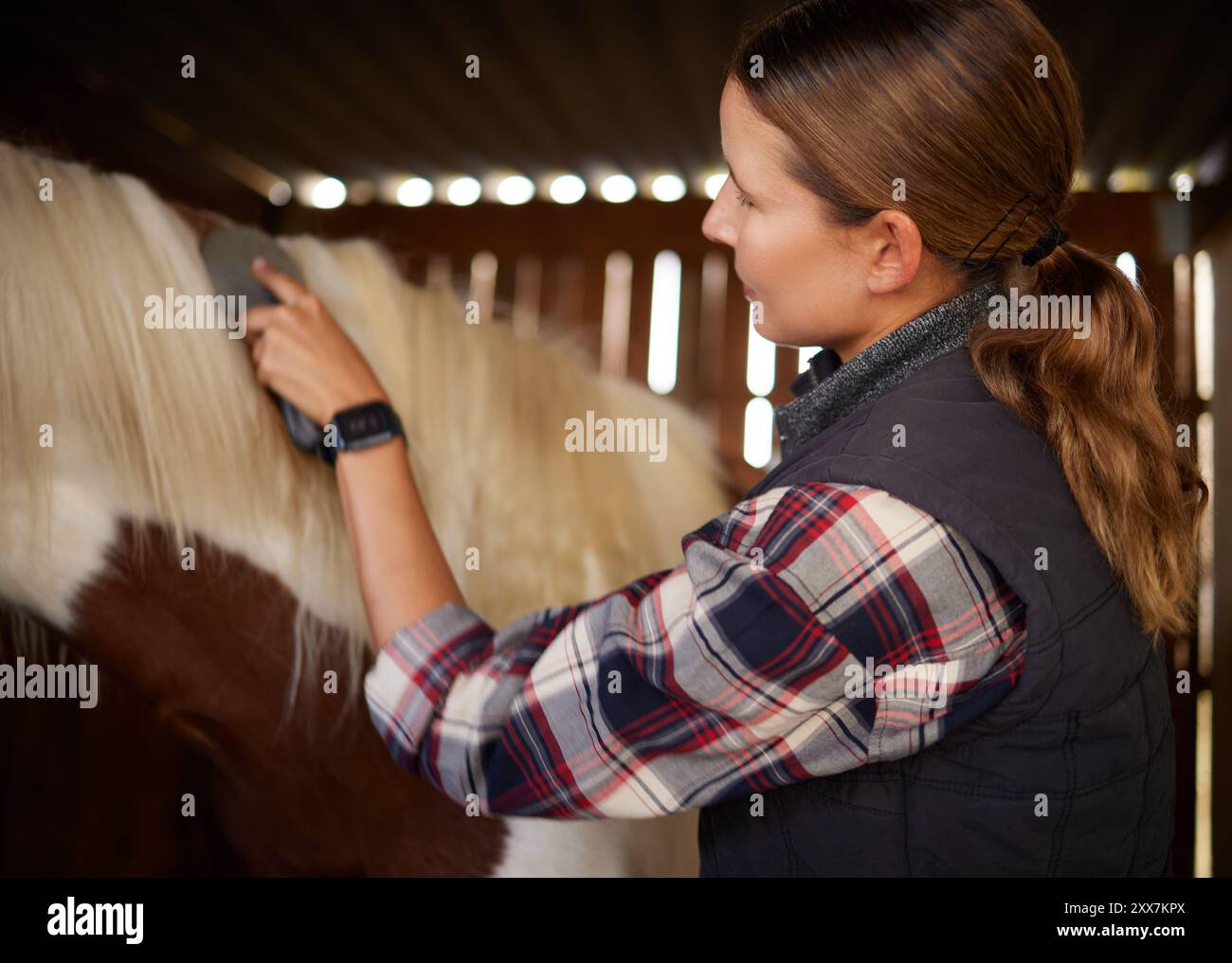 Barn, brushing and woman with horse, cleaning and routine of care for ...