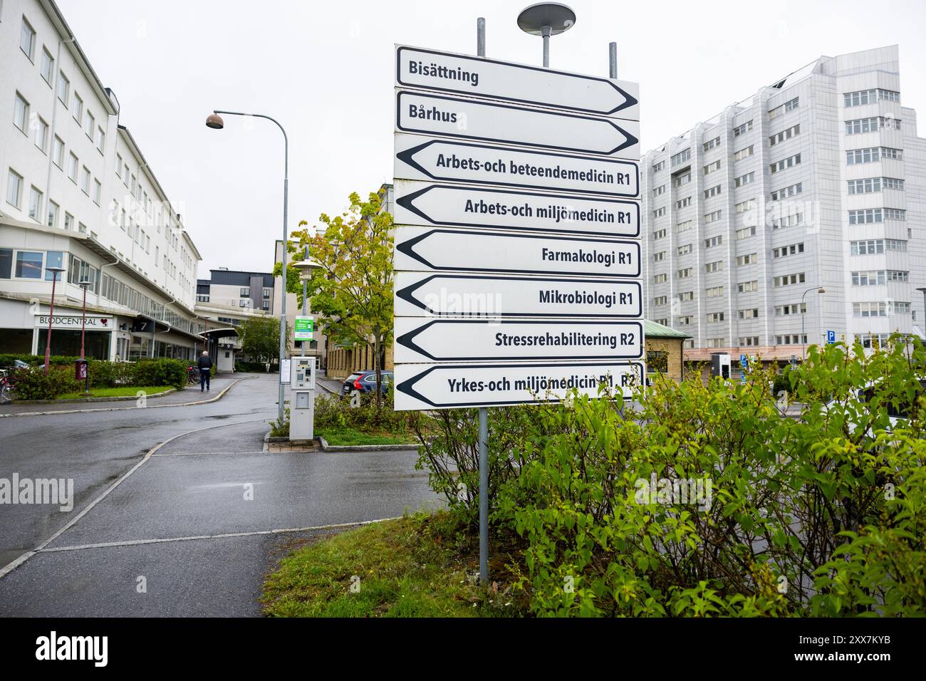 University Hospital of Umeå, Sweden, (in Swedish: Norrlands ...
