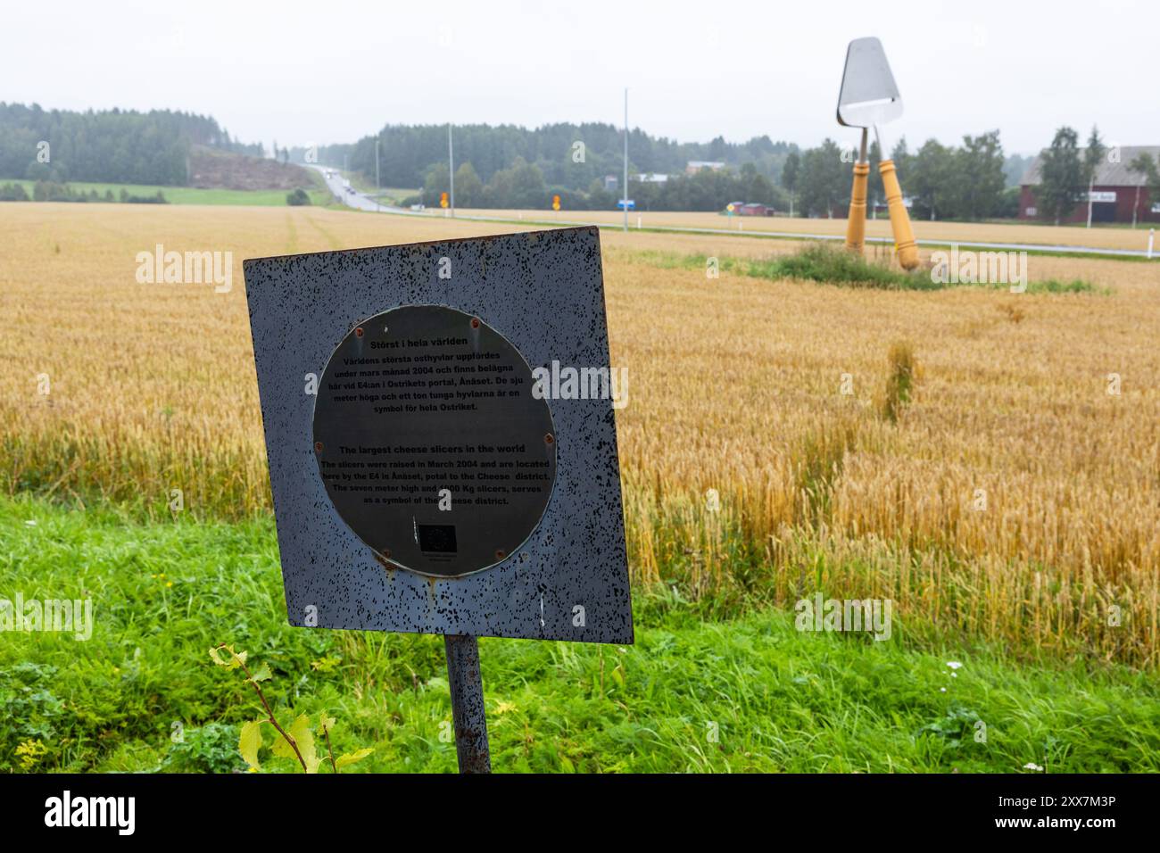 The largest cheese slicers in the world, Ånäset, Sweden Stock Photo - Alamy