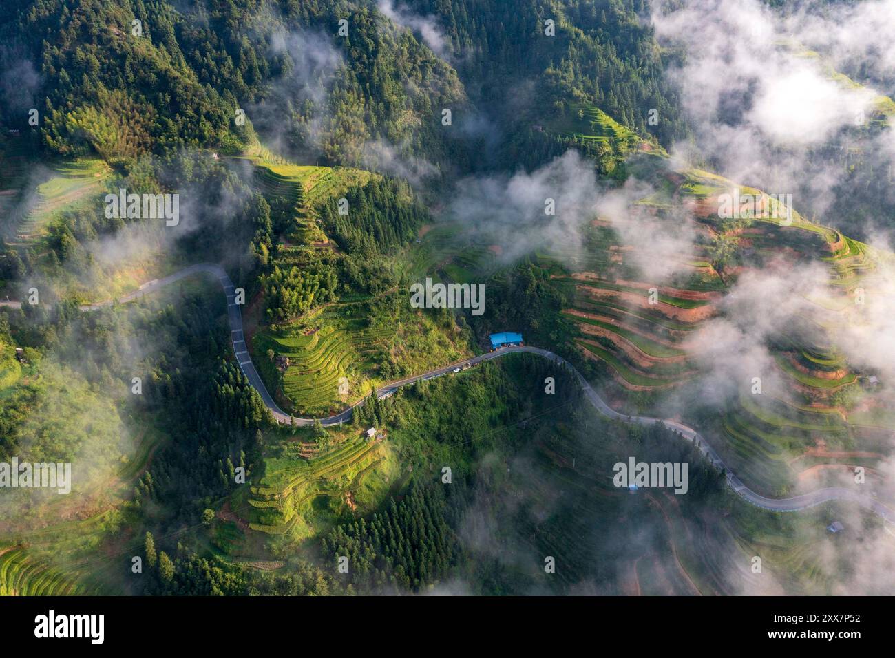 CONGJIANG, CHINA - AUGUST 22, 2024 - Aerial photo shows a rural road in ...