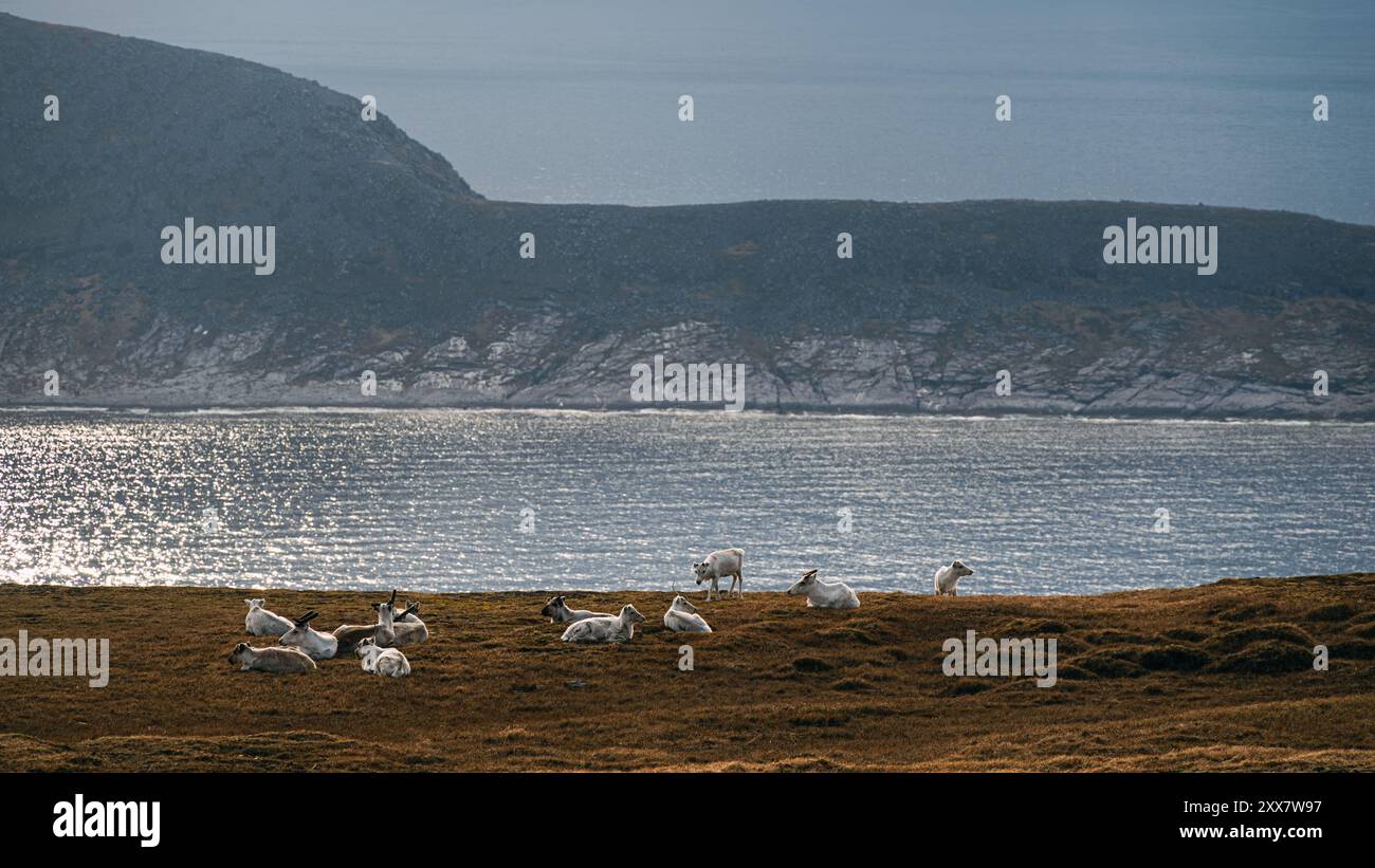 nature sceneries inside the island of Mageroya along the road to get to ...