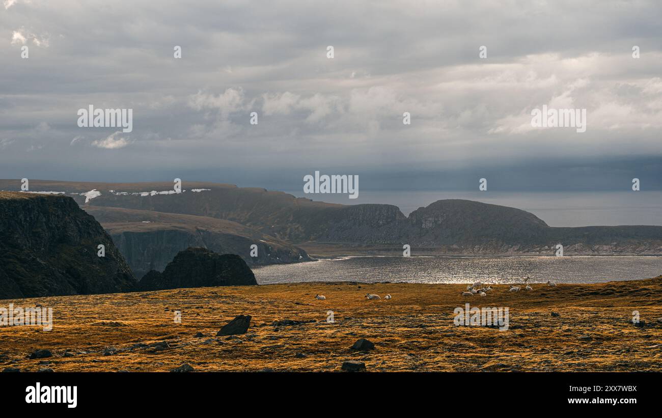 nature sceneries inside the island of Mageroya along the road to get to ...