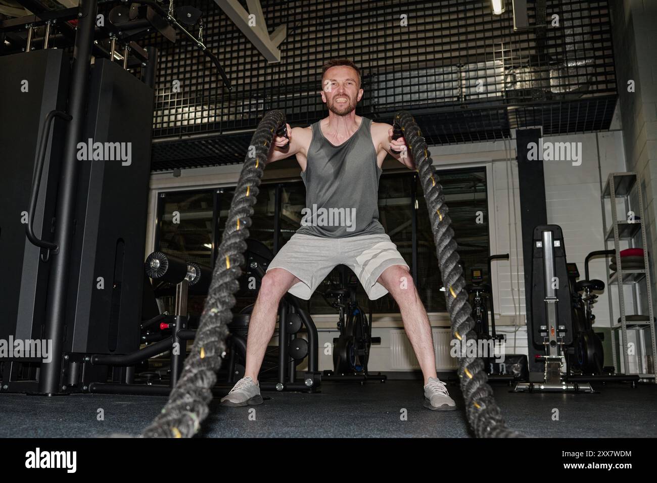 Low angle shot of professional bodybuilder using battle ropes to burn ...