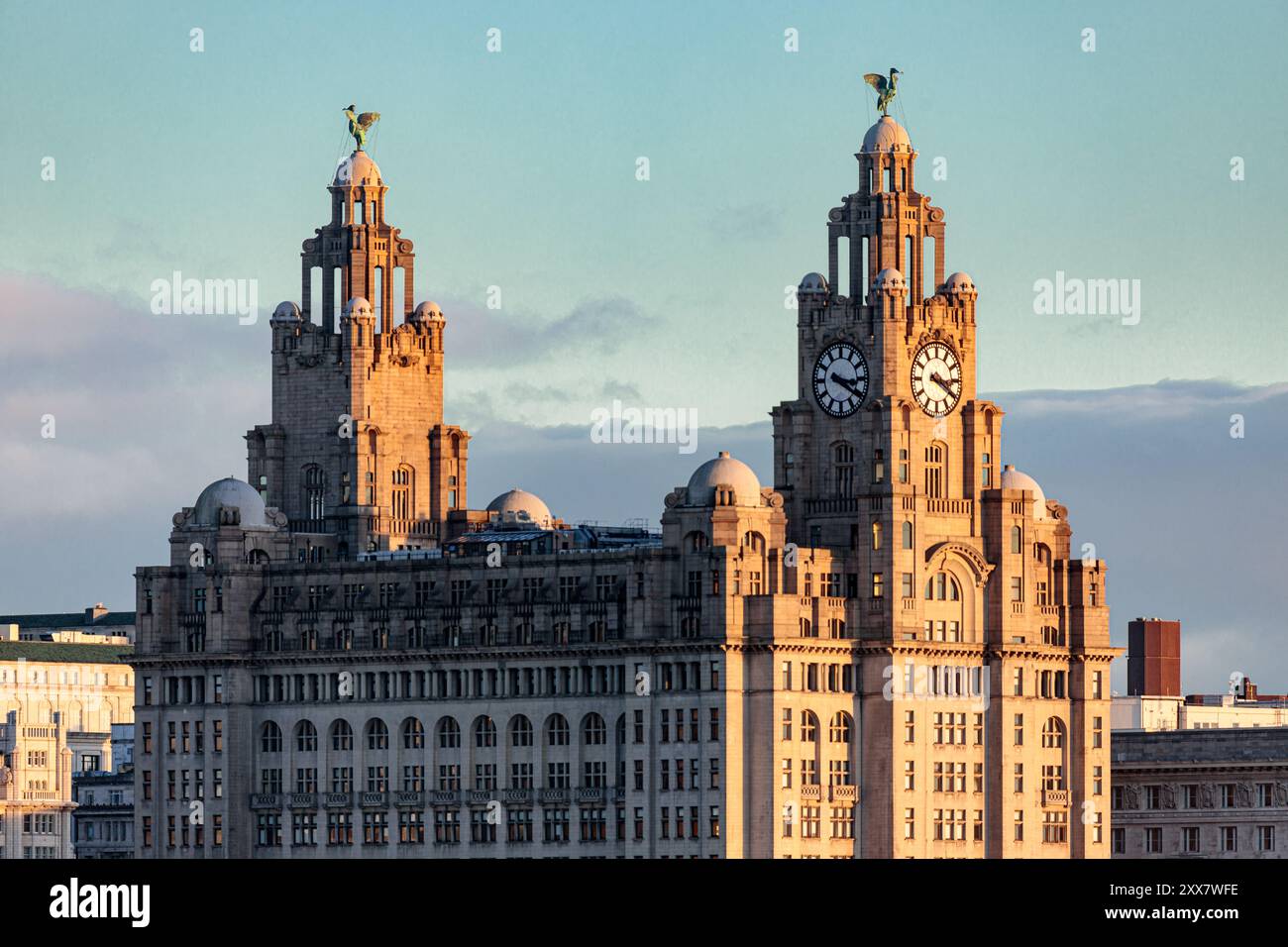 The Royal Liver Building, Liverpool, England Stock Photo - Alamy
