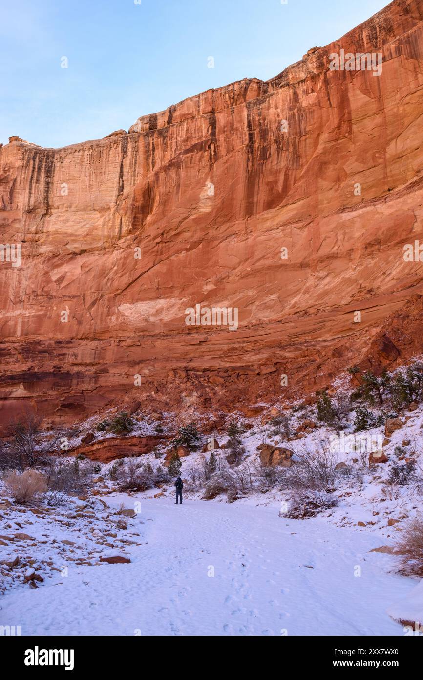 A lone hiker walks through the snowy Grand Wash Trail in Capitol Reef ...