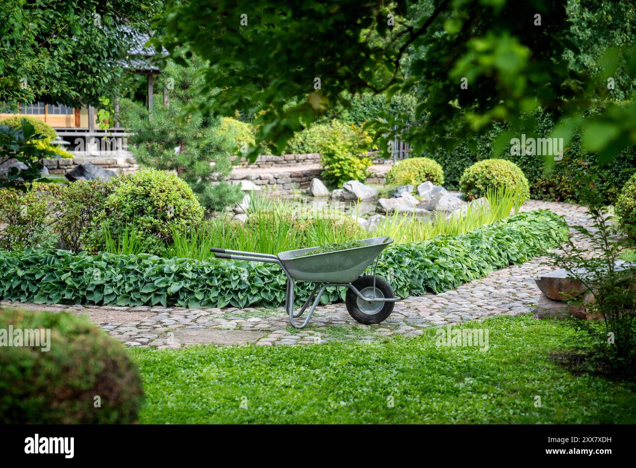Wheelbarrow on stone pathway surrounded by green garden with hedge ...