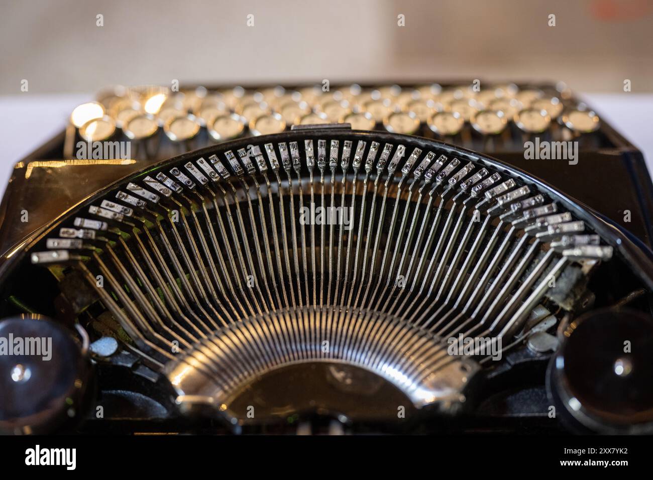 Wiltingen, Germany. 22nd Aug, 2024. The types of a mechanical ...