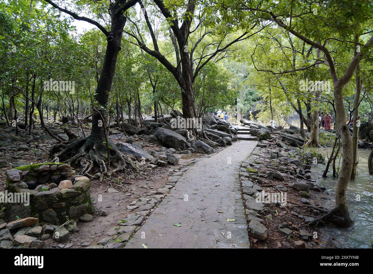 Pandav falls hi-res stock photography and images - Alamy