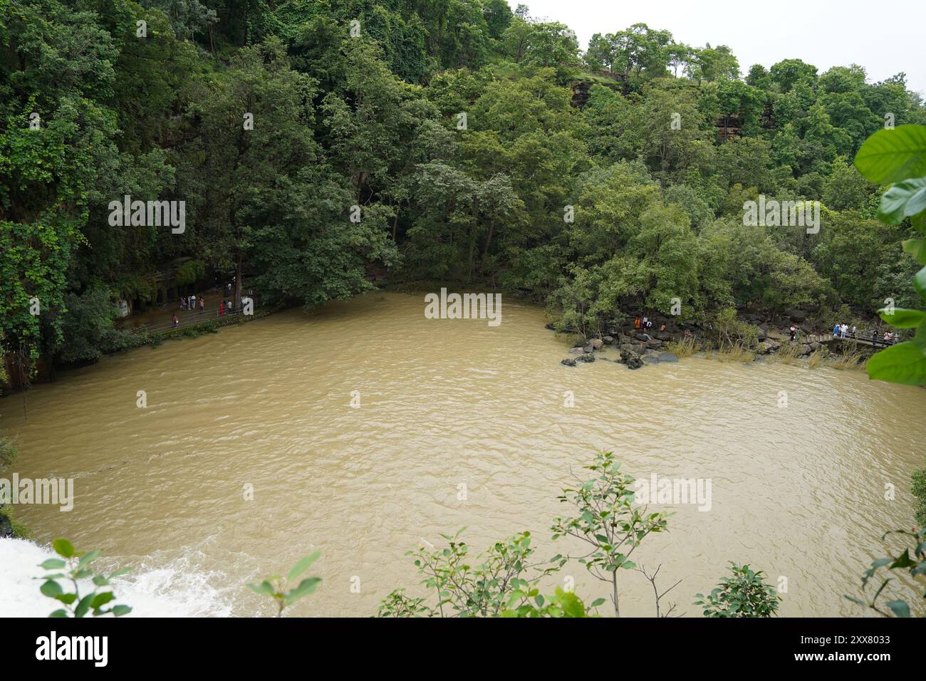 Pandav Falls, nestled within Panna National Park in Madhya Pradesh's ...