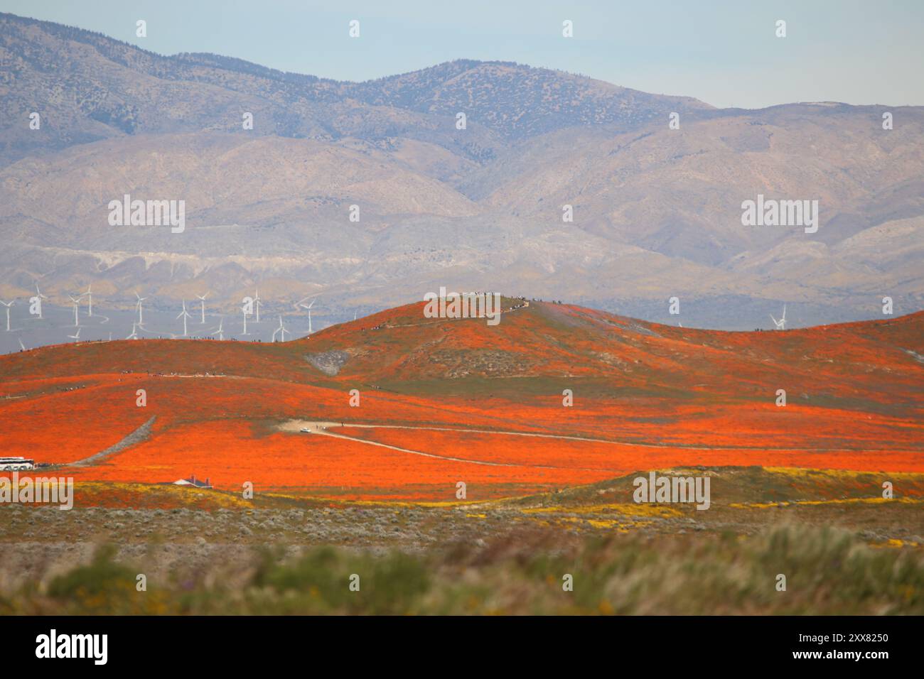 Calm peaceful scenery fields mountains hi-res stock photography and ...