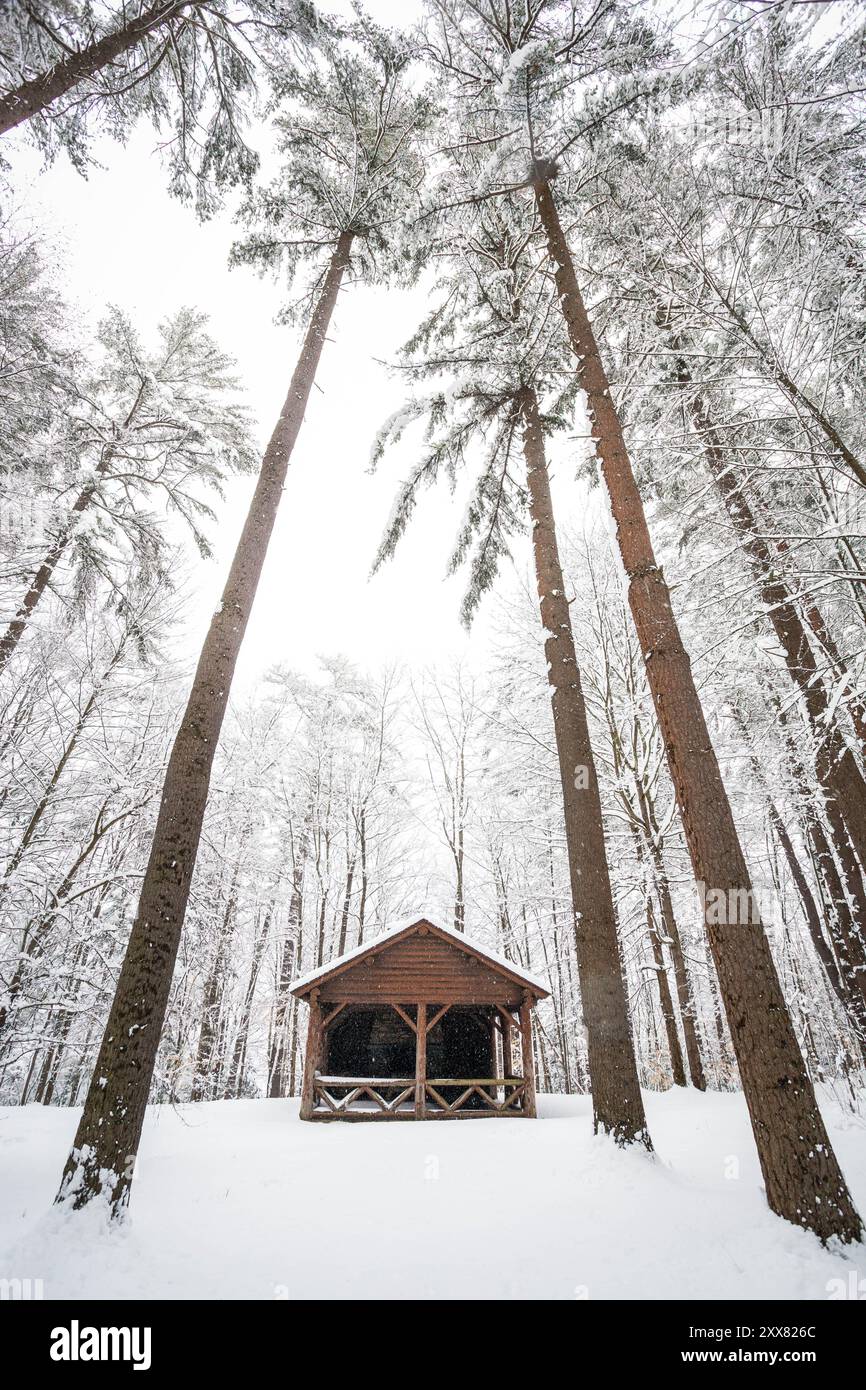 Vermont winter cabin under tall trees in snow storm Stock Photo - Alamy