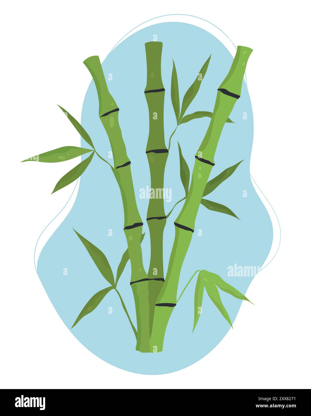 Hand drawn bamboo stem and leaves. Bamboo tree. Vector illustration ...