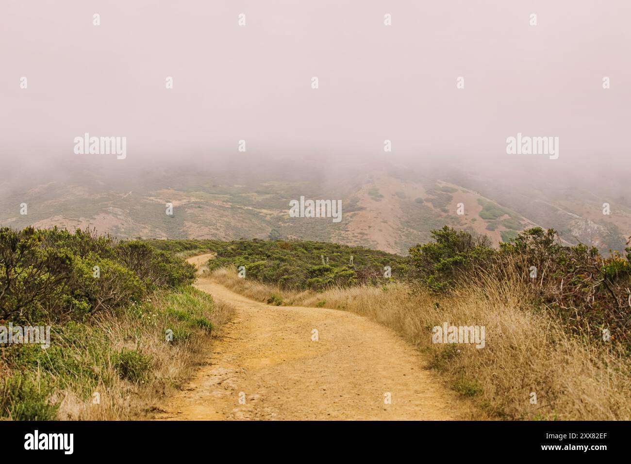 Winding path into the fog hi-res stock photography and images - Alamy