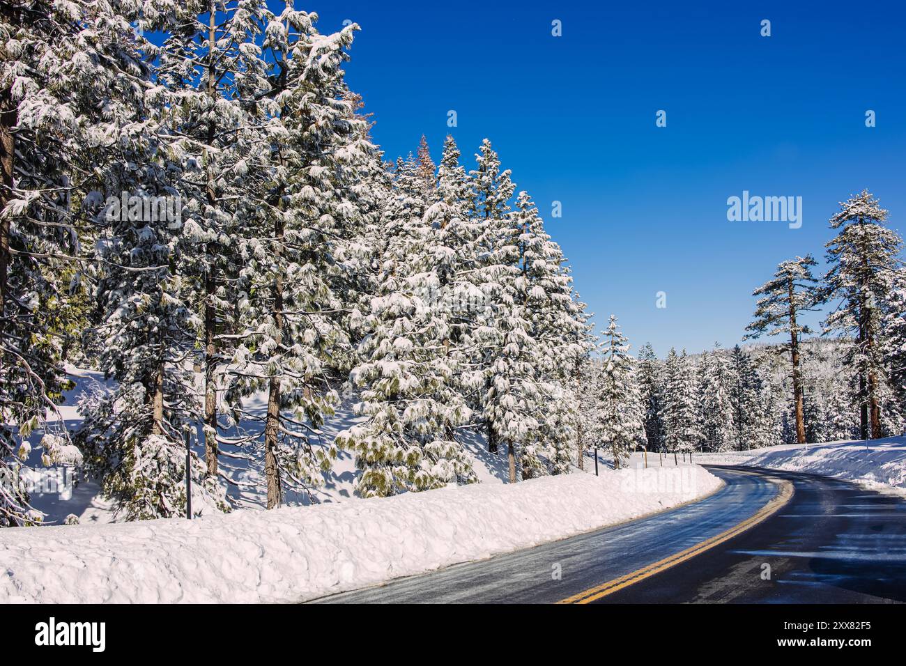 Highway through snowy forest landscape hi-res stock photography and ...