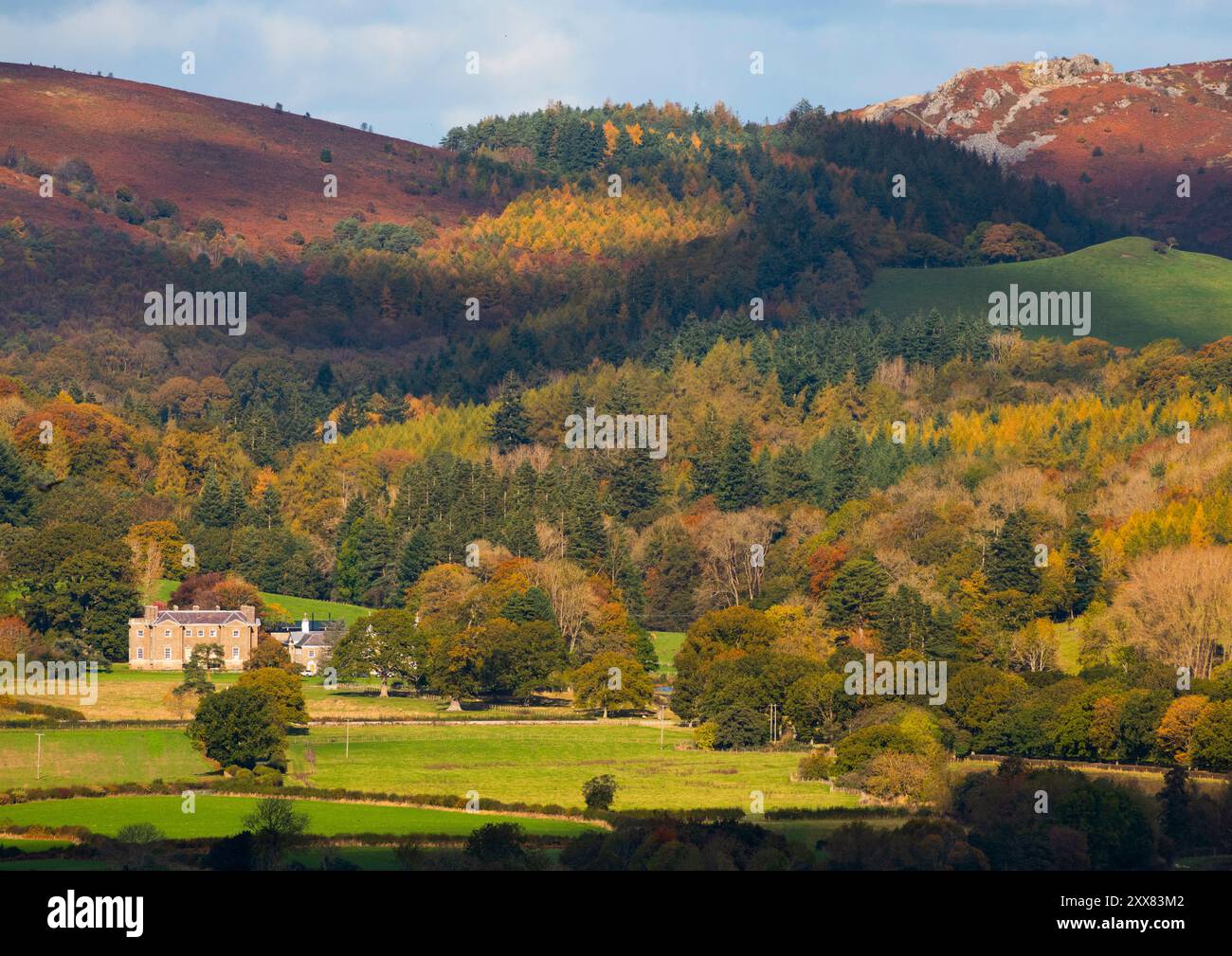 Linley Hall, Heath Mynd, the Stiperstones, seen from Oakeley Mynd Stock ...