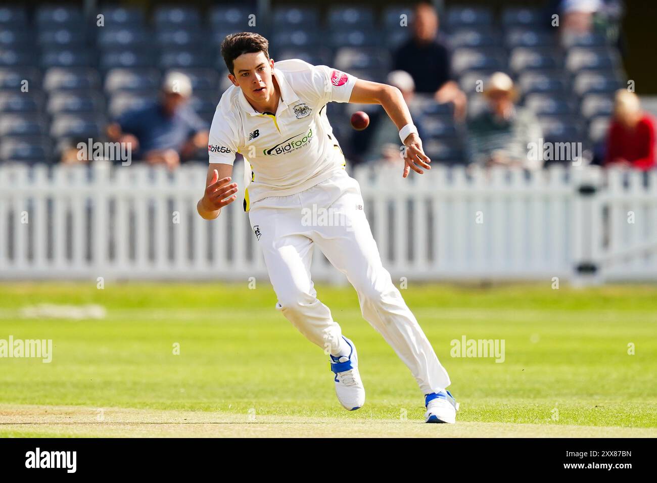 Dominic goodman hi-res stock photography and images - Alamy