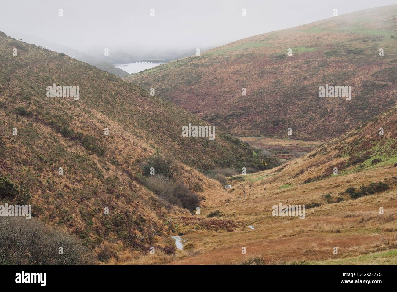 Stream in steep gulley with Meldon Reservoir and Dam in distance ...