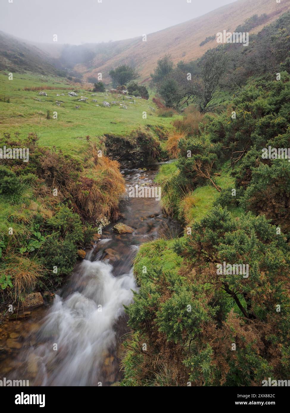 Stream coming down steep gulley into Meldon Reservoir, Dartmoor, UK ...