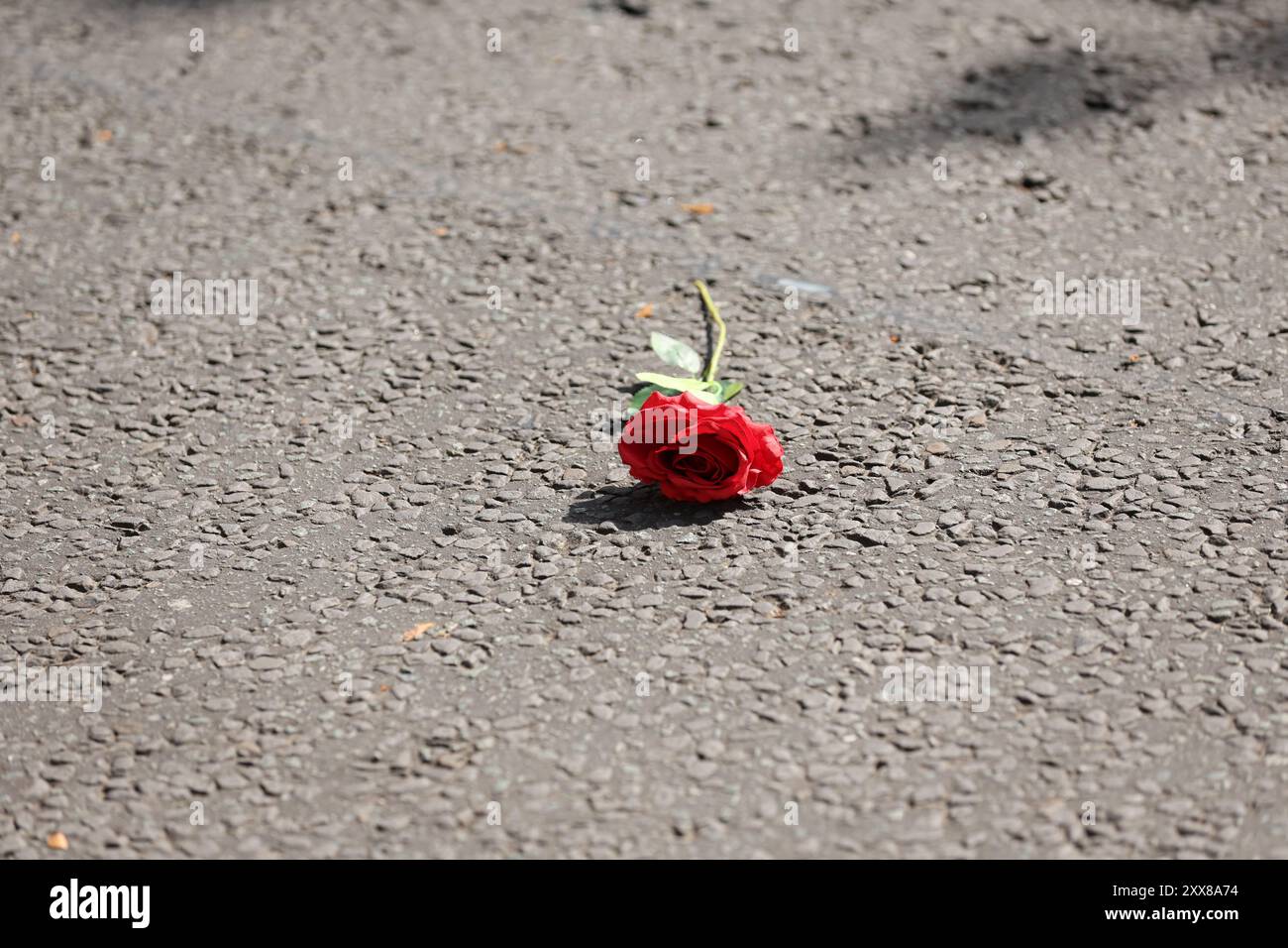 Roses are thrown at the hearse carrying the coffin of Southport ...